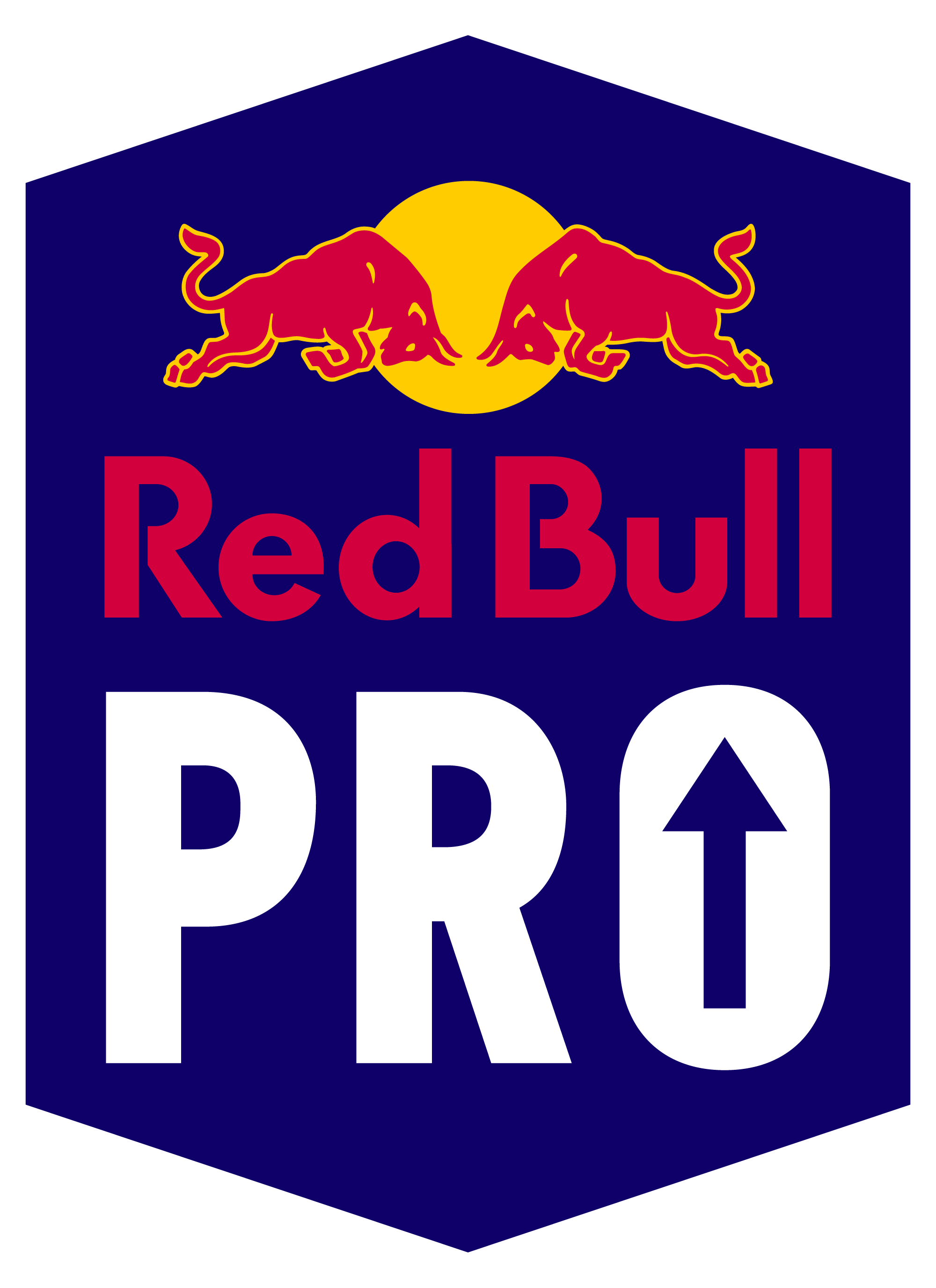 Red Bull Pro Training Tips From Pro Athletes
