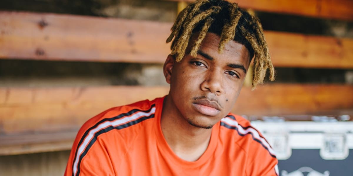 Zanco Shadow: Perfil de Gallo