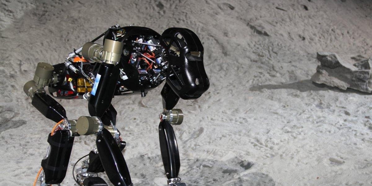 Biorrobots, una herramienta a favor de la biodiversidad