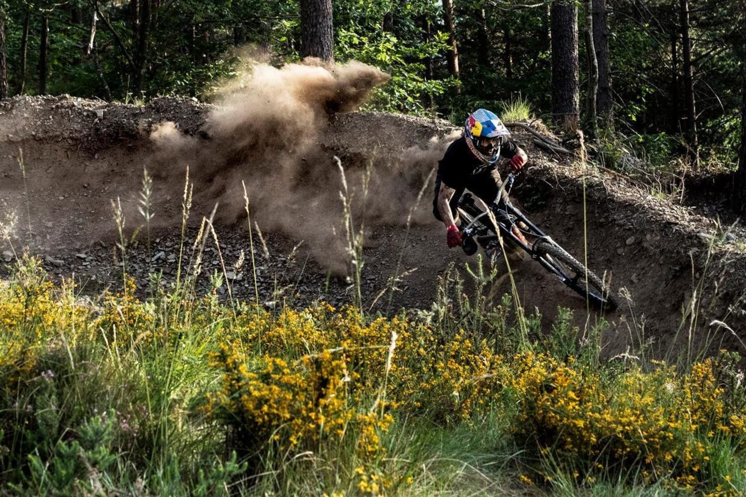 Andreu Lacondeguy & Francisco Pardal: Louzanpark video