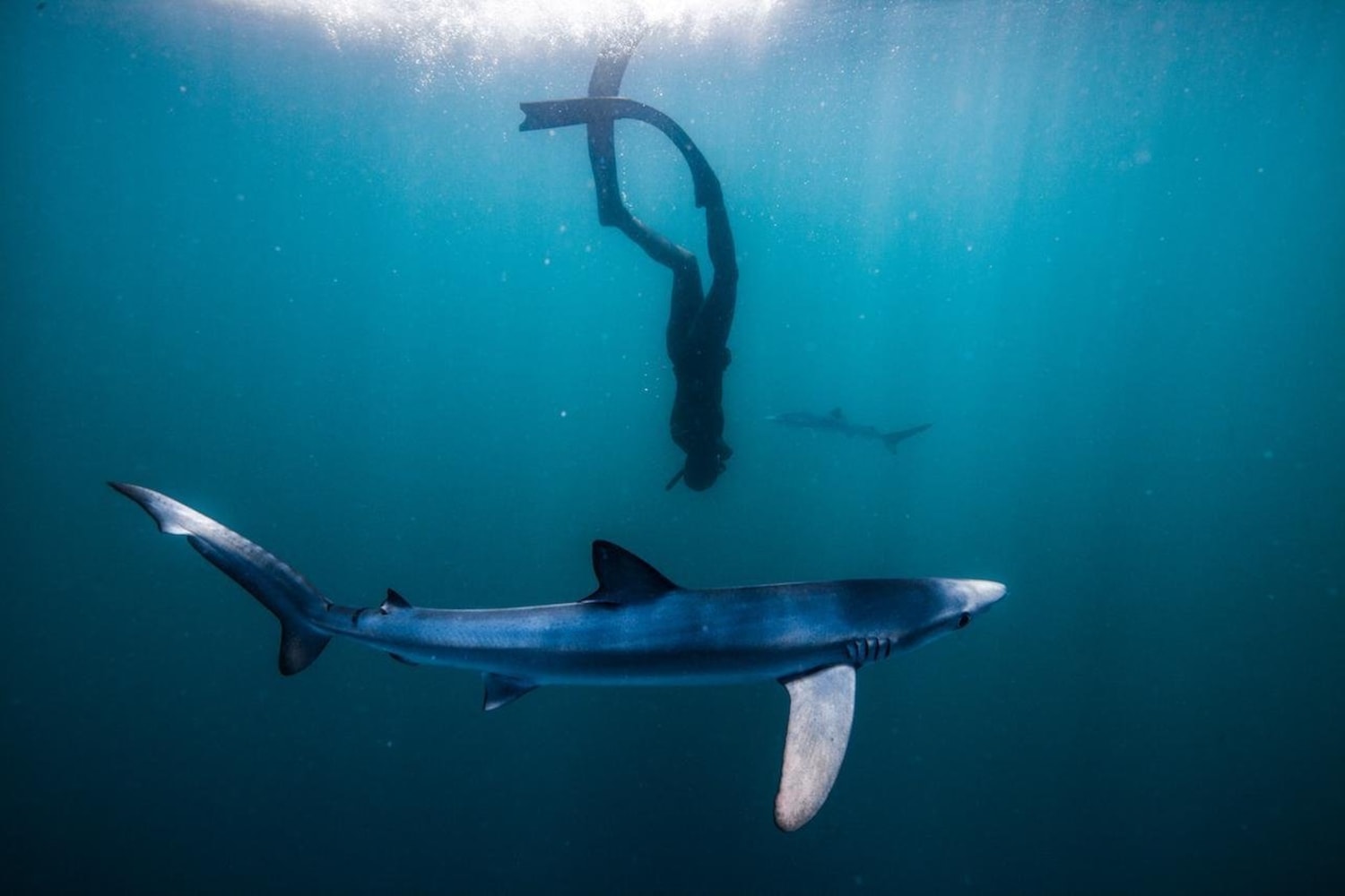 UK freediving: The 6 best locations to check out