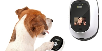 Petchatz: videollamadas para mascotas