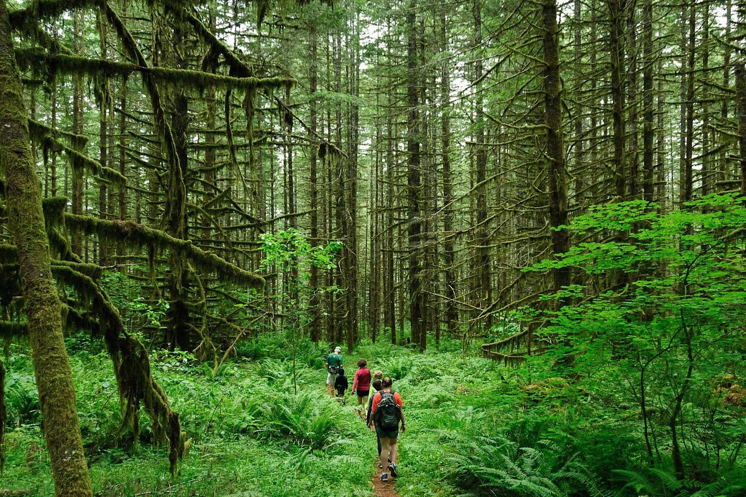 Best hiking tips for beginners