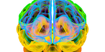 Brain jogging: exercises for memory training at home