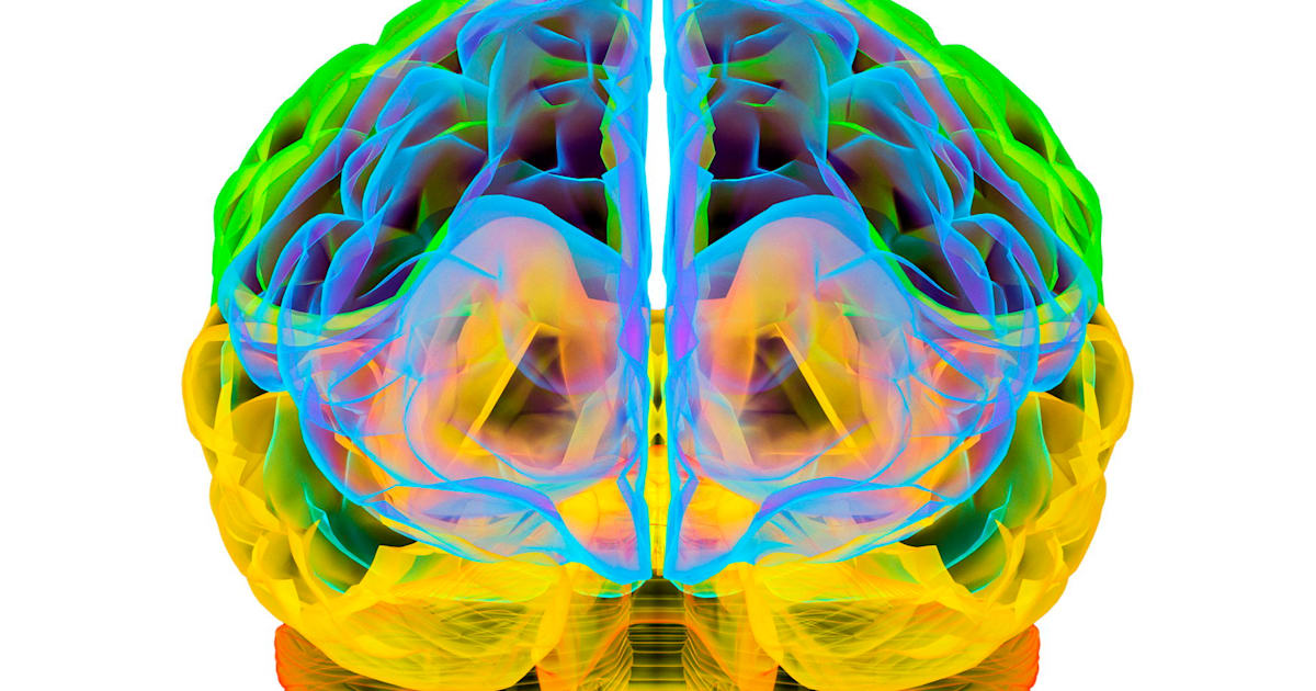 Brain jogging: exercises for memory training at home