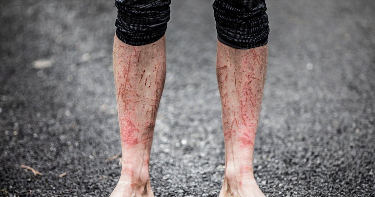 The Barkley Marathons guide: A brutal running adventure