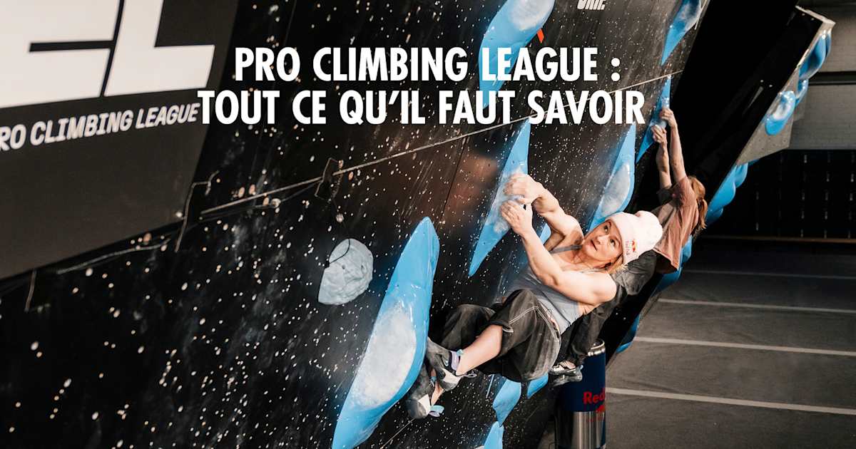 Pro Climbing League : le guide de la compétition d’escalade