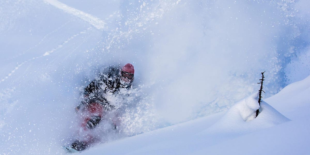 The Fourth Phase: Tree runs – Travis Rice *action clip*