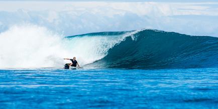 “Reckless Isolation” Is Coming This Fall… You Ready?