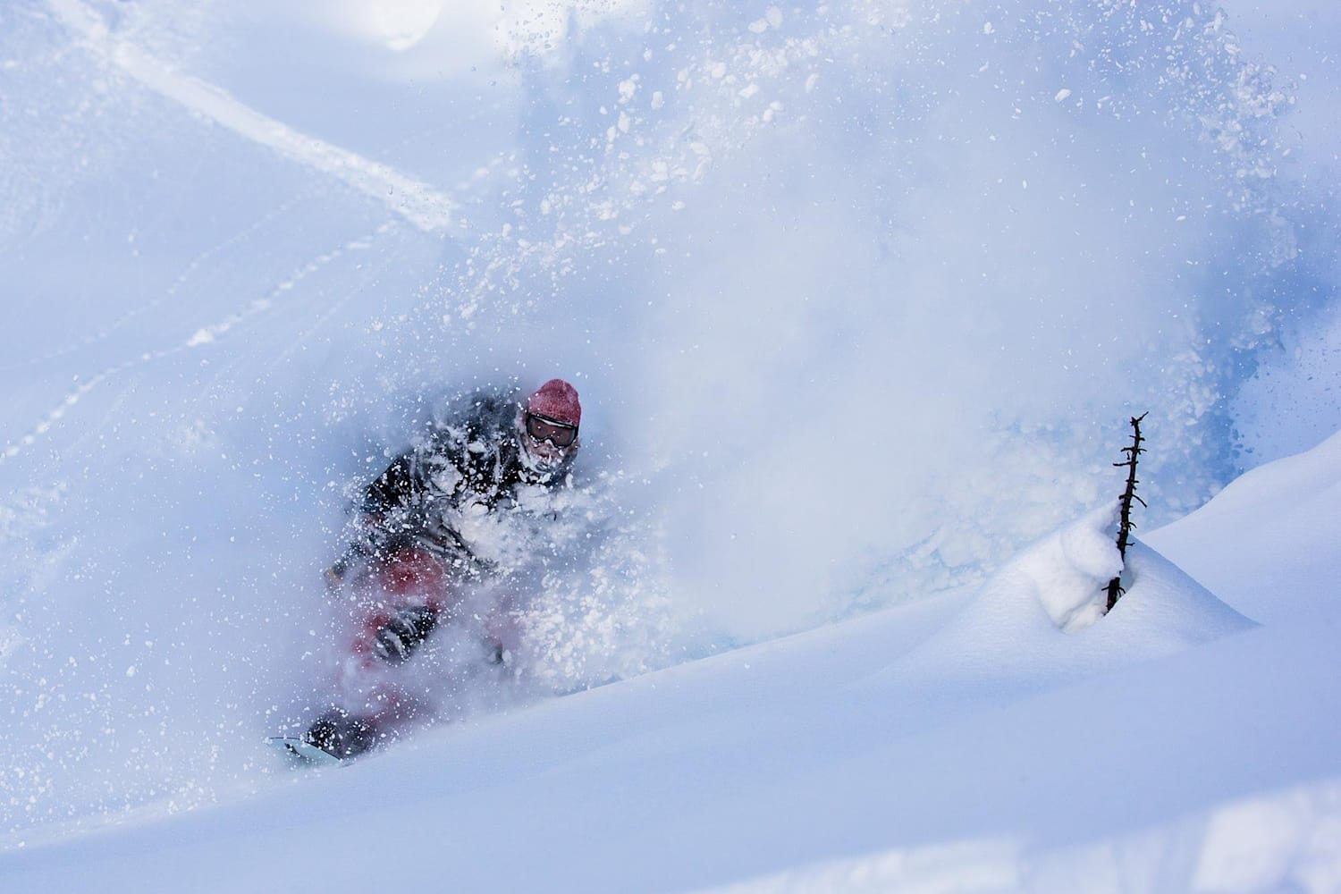 The Fourth Phase: Tree runs – Travis Rice *action clip*