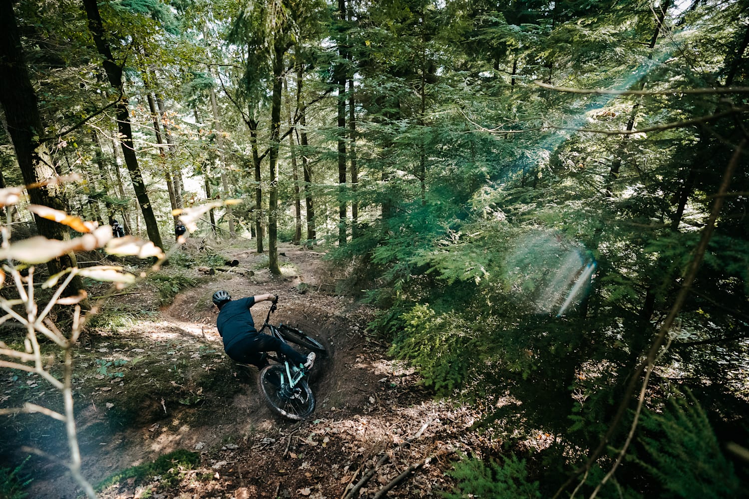 Trail mountain bikes 2021: The 7 best all-round bikes