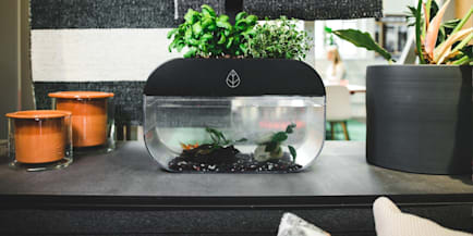 Ecobloom: The futuristic miniature greenhouse