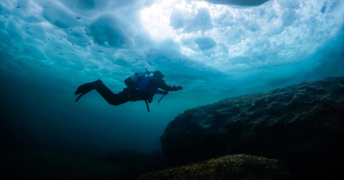 Ice Diving guide: 8 tips from freediver Magali Côté