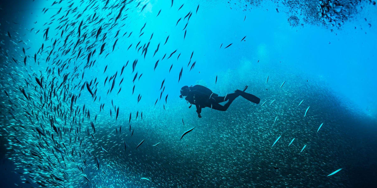 Scuba diving tips: 11 things that will make you a pro