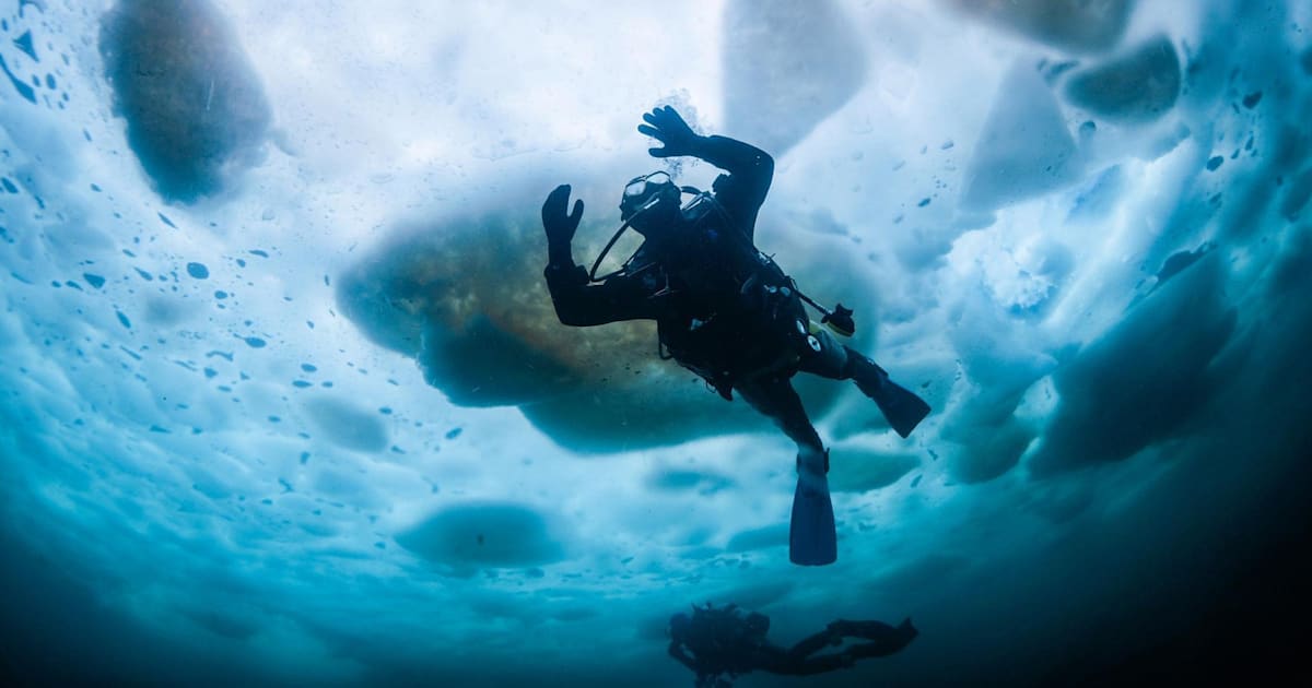 Ice diving: 8 tips for keeping your cool
