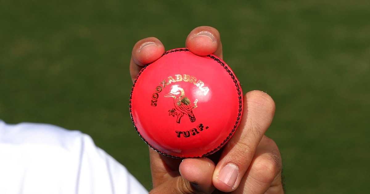 cricket ball kookaburra