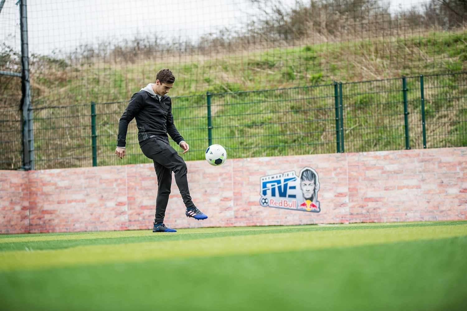 Harry Winks