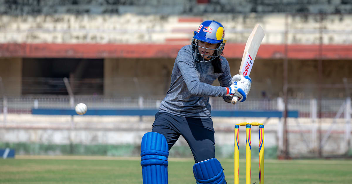 Cricket field areas batting: Tips for shots to use