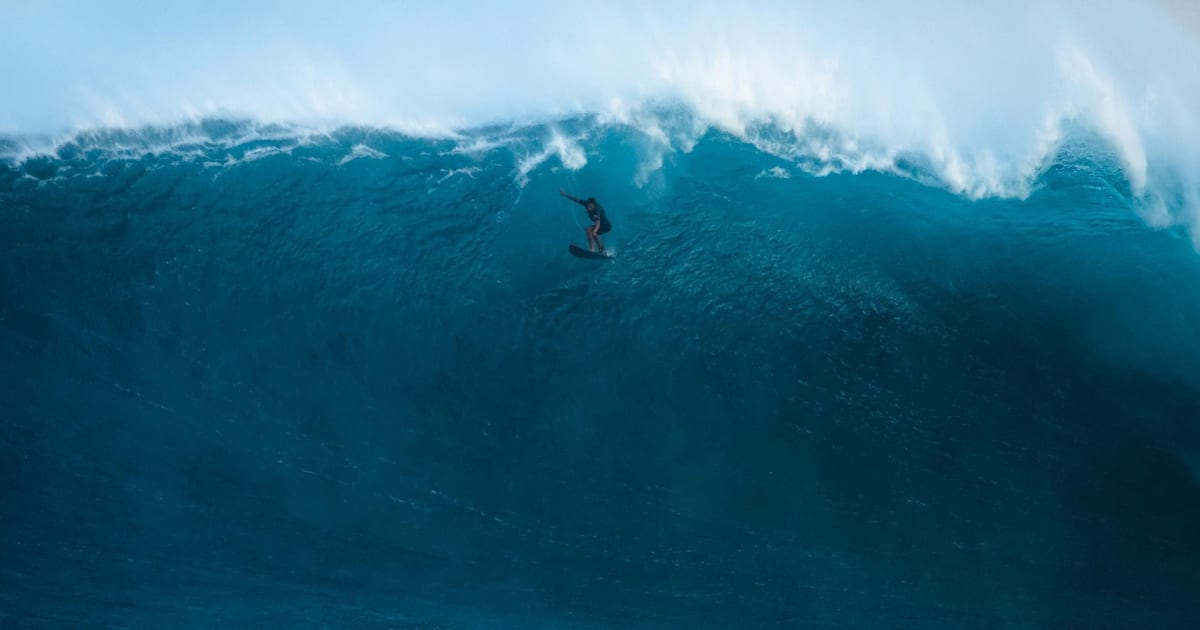 Sessions: See Jaws kick off 2019 in epic fashion