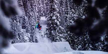 Travis Rice Natural Selection Tour Live