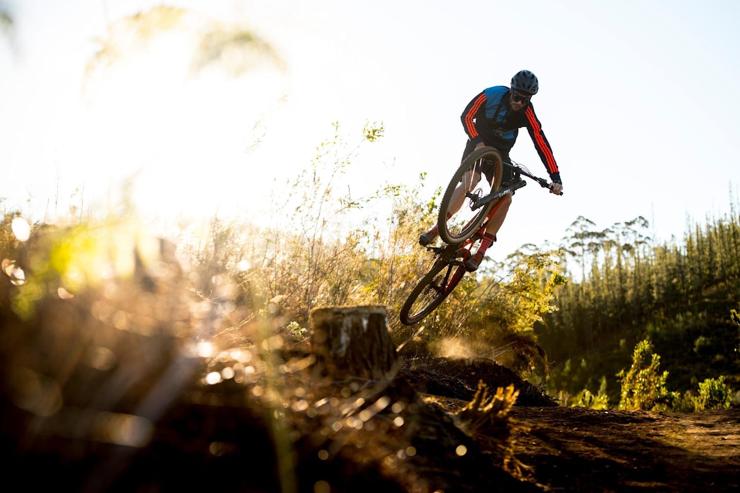 MTB trails in South Africa: The 5 best you want to ride