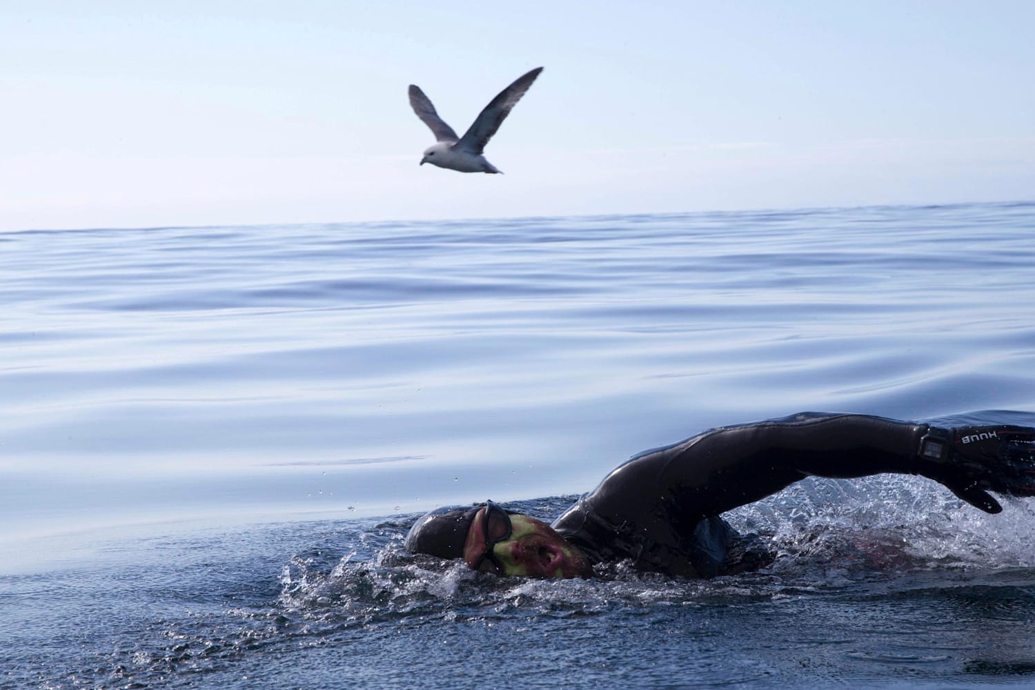 Ross Edgley's Great British Swim: all you need to know