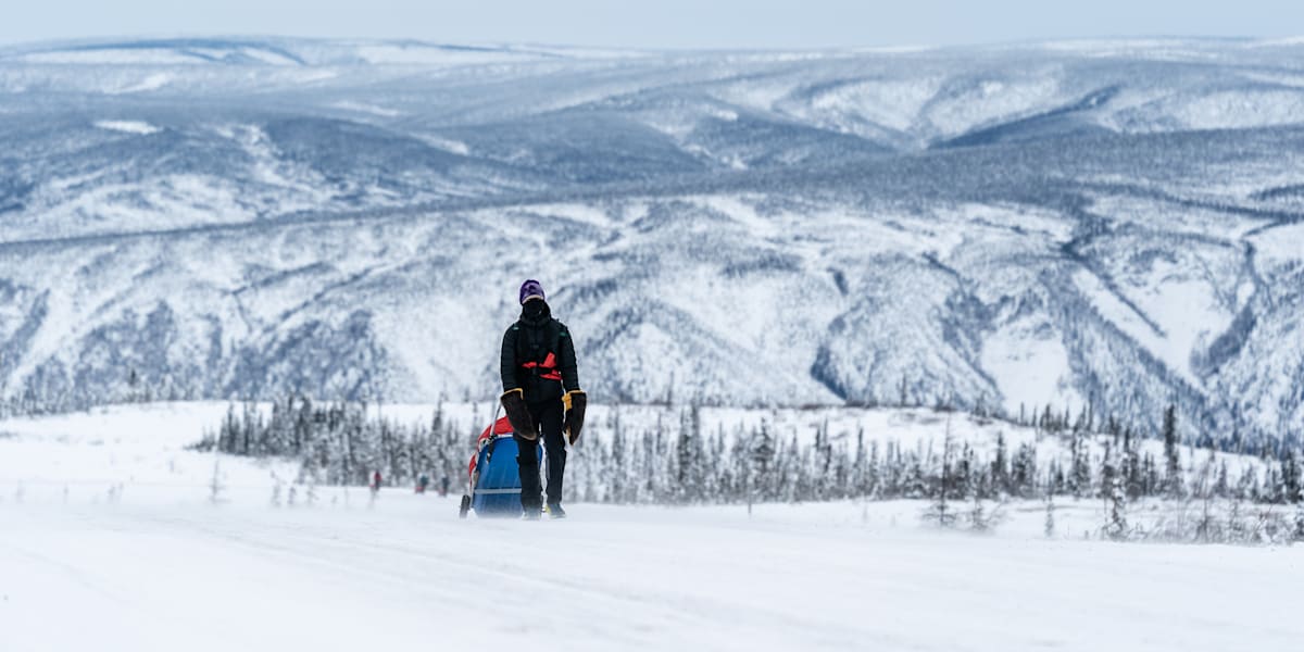 Adi Bulboacă: 6633 Arctic Ultra