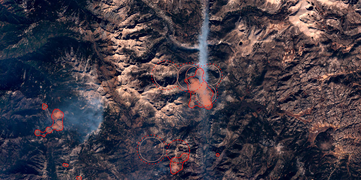 Ororatech: Start-up erkennt Waldbrände aus dem All
