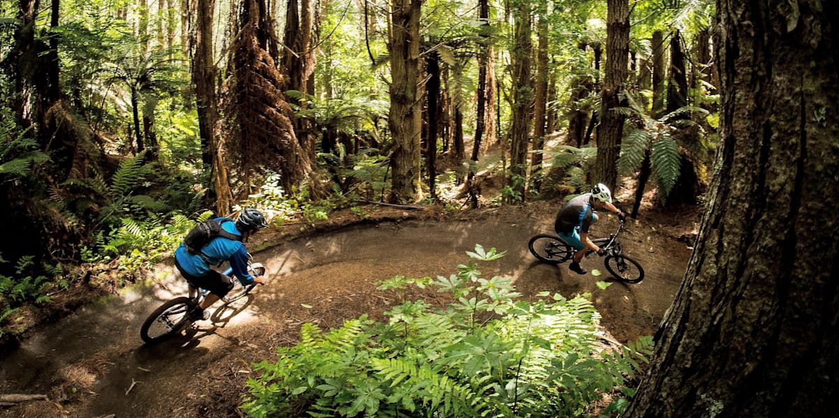 Guide to Rotorua: New Zealand Mountain Bike Destination