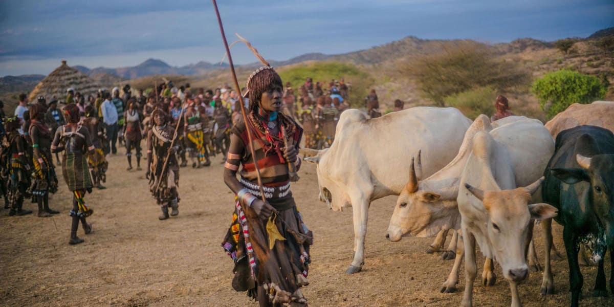 Bull Jumping: Ritual y deporte extremo en África