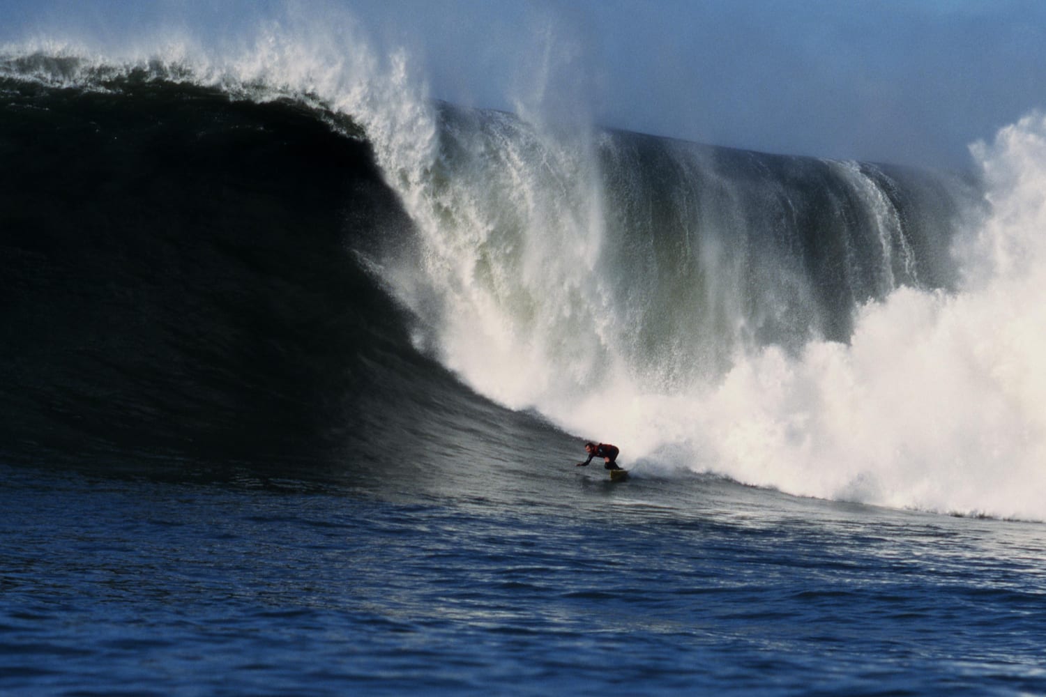 The Surfing Mavericks