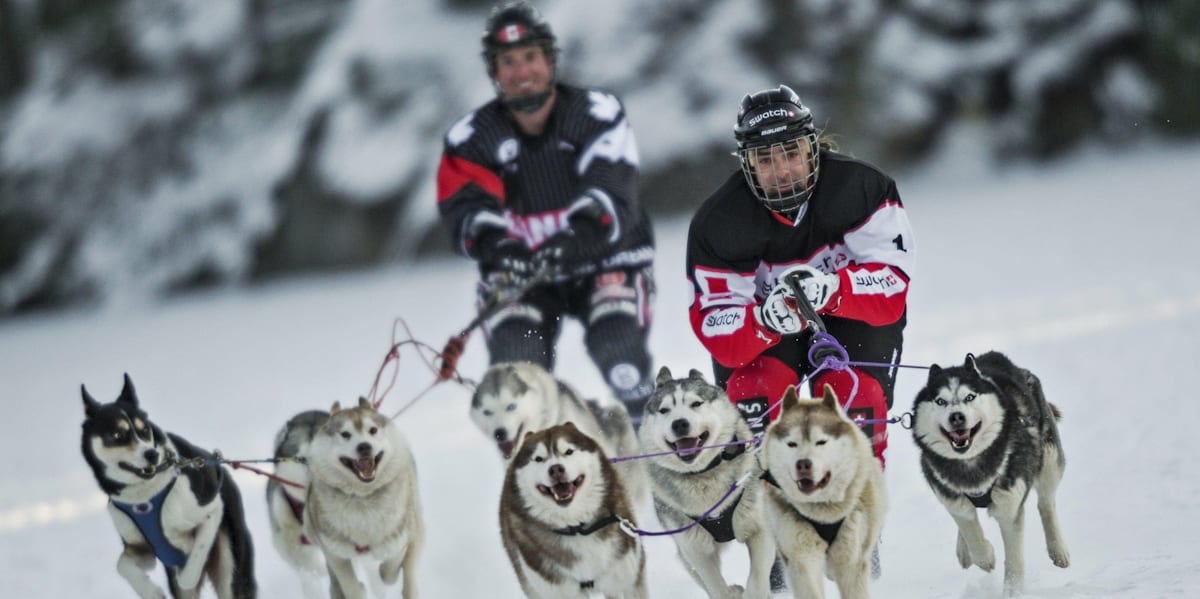 Kampioenen trainen met Huskies op een meer