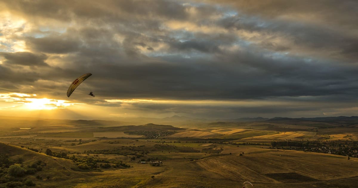 Red Bull Bird's Eye