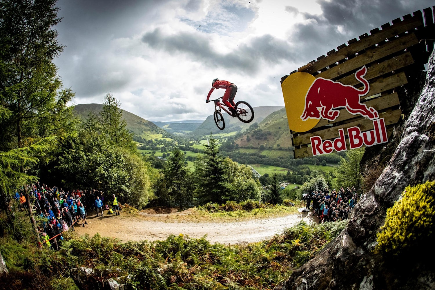 Take the new career finder test | Red Bull Wingfinder