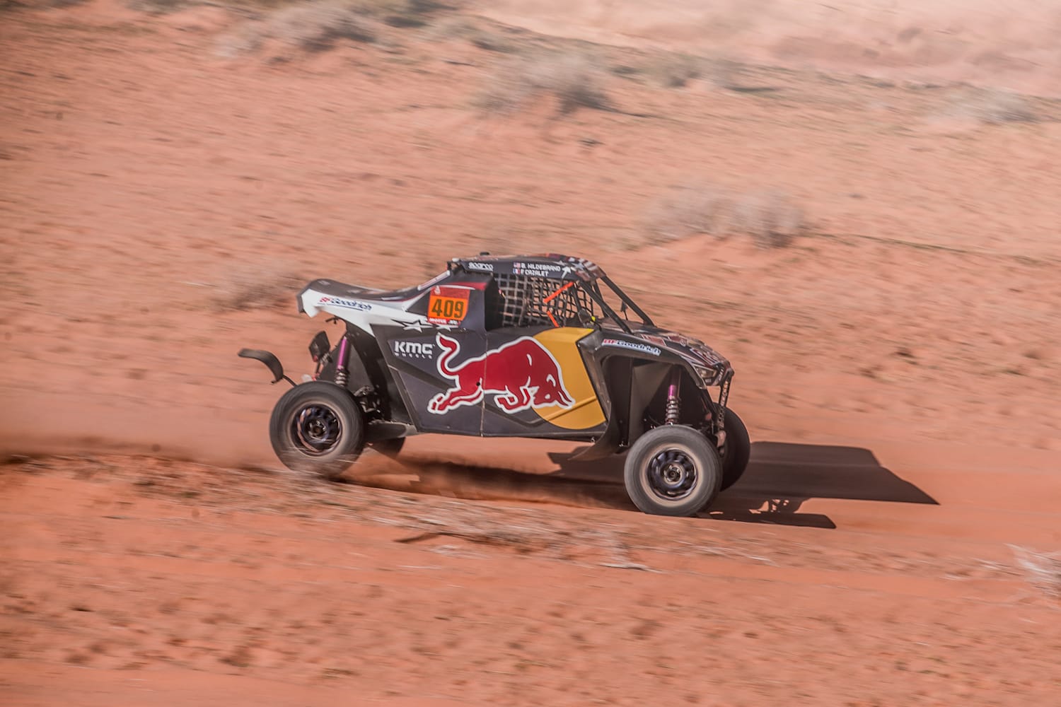 Cyril Despres: Red Bull Off-Road Team USA interview