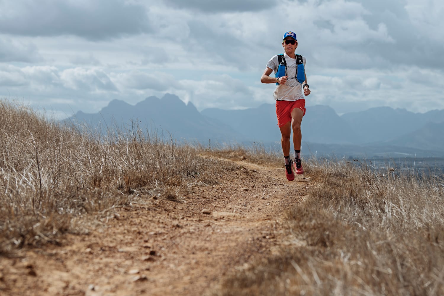 Red Bull Wingfinder: Complement your sociable strengths