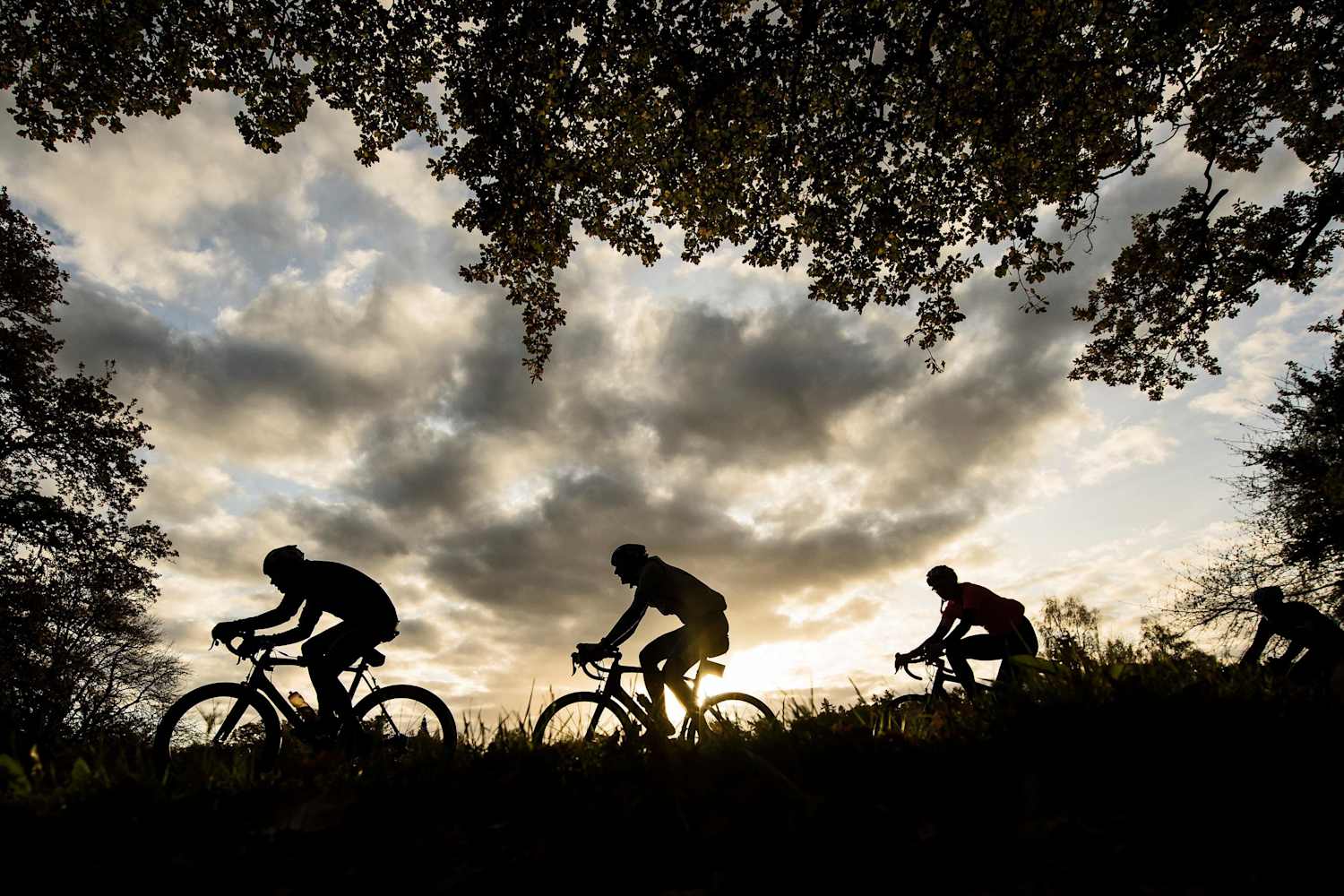 Red Bull Timelaps 2017: Images