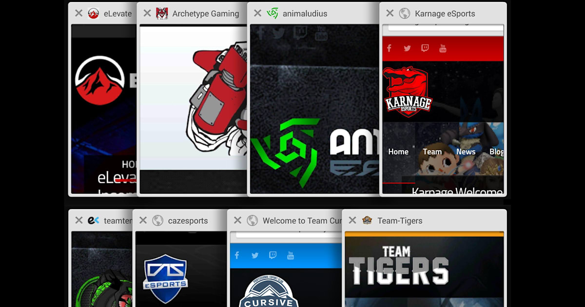 Making the perfect website for professional gamers