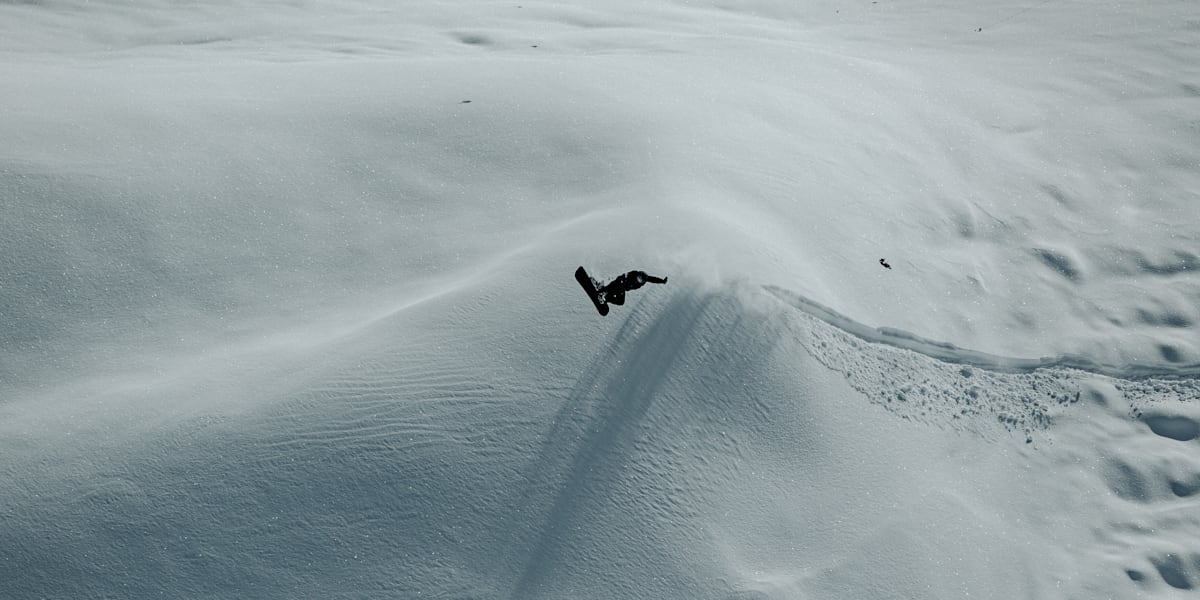 natural selection 2024