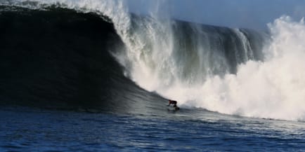 The Surfing Mavericks