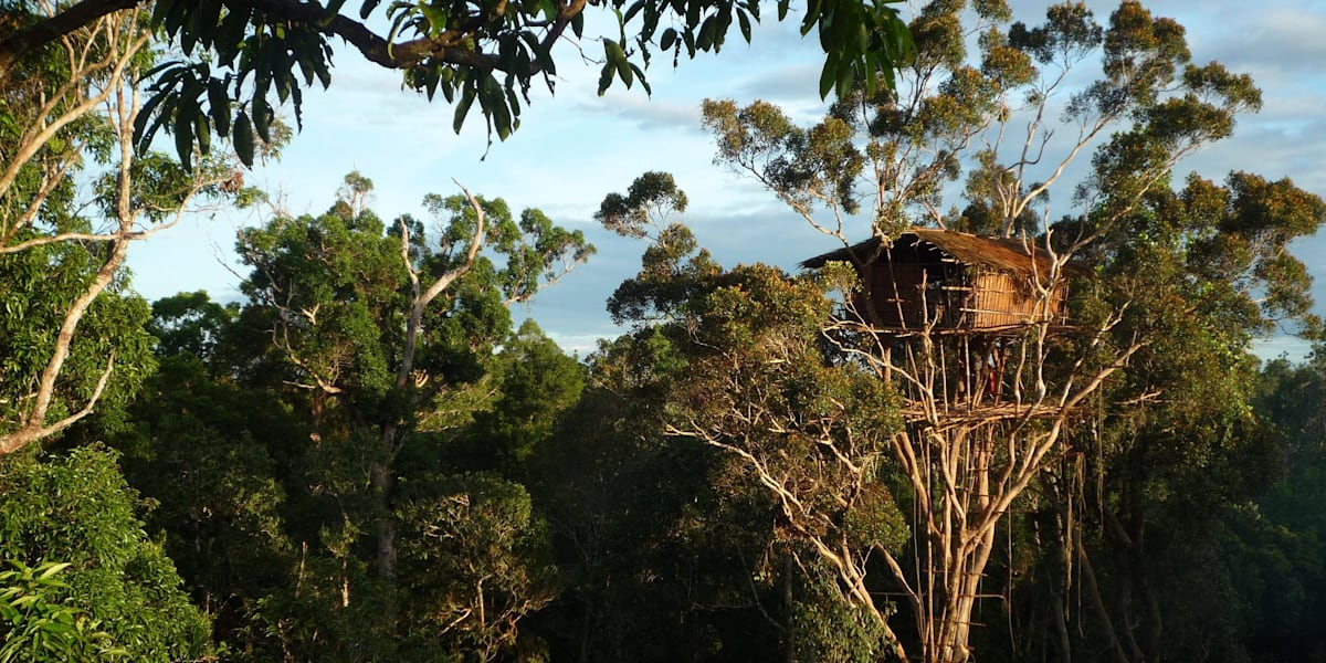 James Aldred, rainforest cameraman – Red Bull Adventure