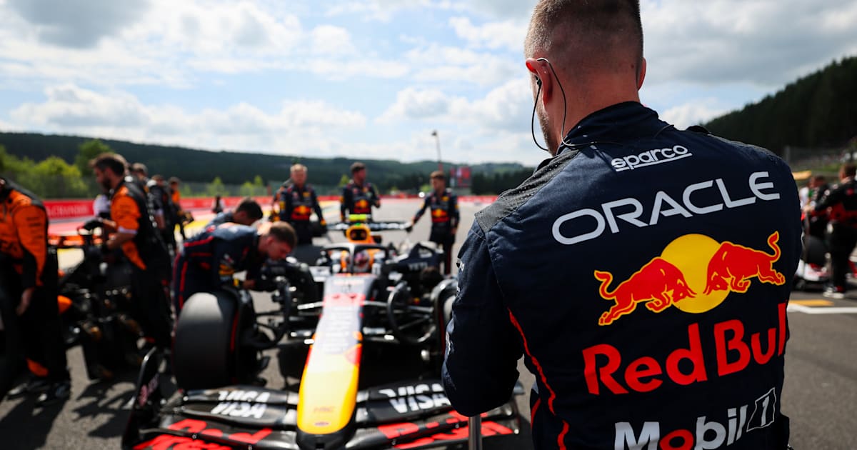 Red Bullov i Fordov novi F1 motor - recept za uspjeh