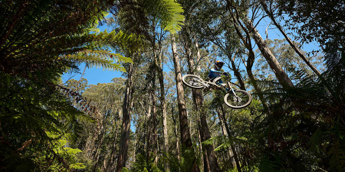 Red Bull Hardline Tasmania 2025: MTB Strecken-Guide