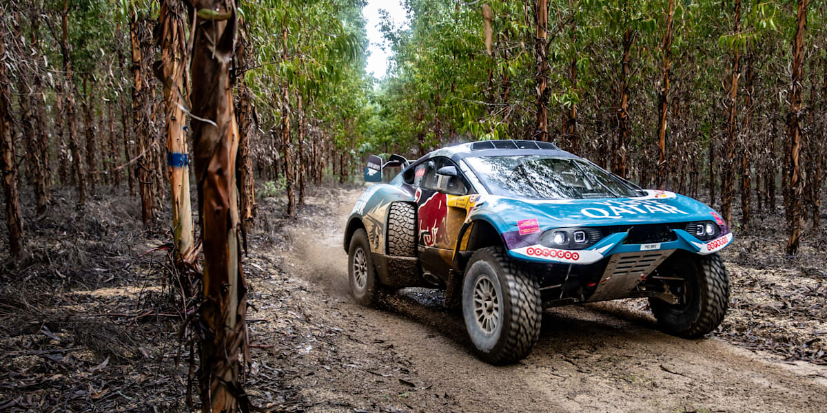 Rally-raid, rallycross, WRC: Differences in disciplines