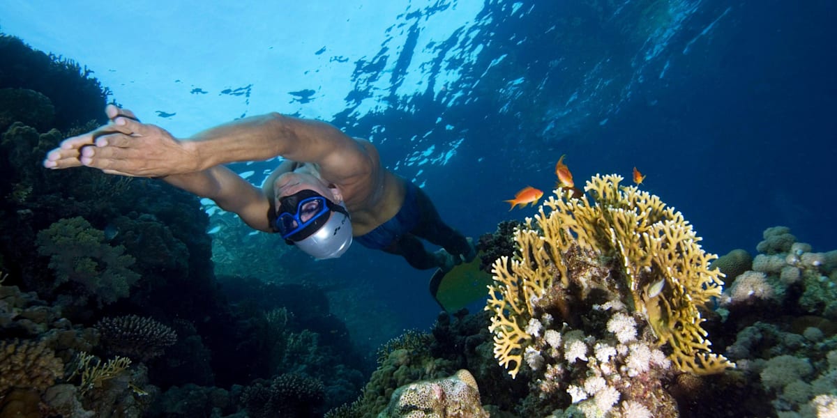 Video of Freedivers in the Ocean and in Training Pools