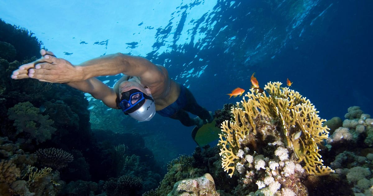 Freediving video: Watch a breathtaking clip | Red Bull