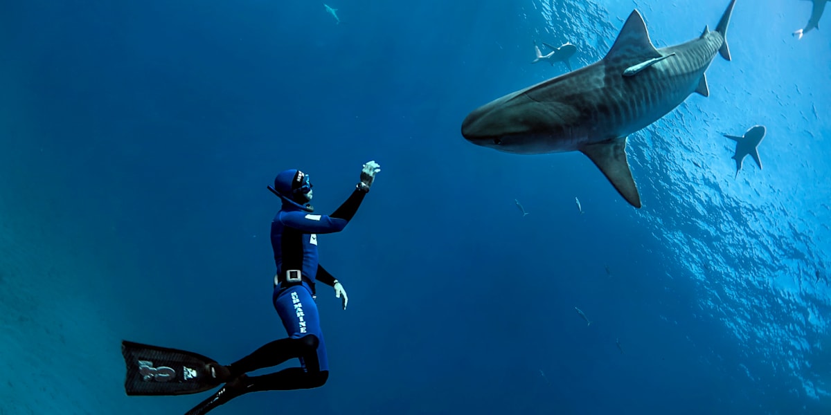 Le monde époustouflant de l'apnéiste Pierre Frolla