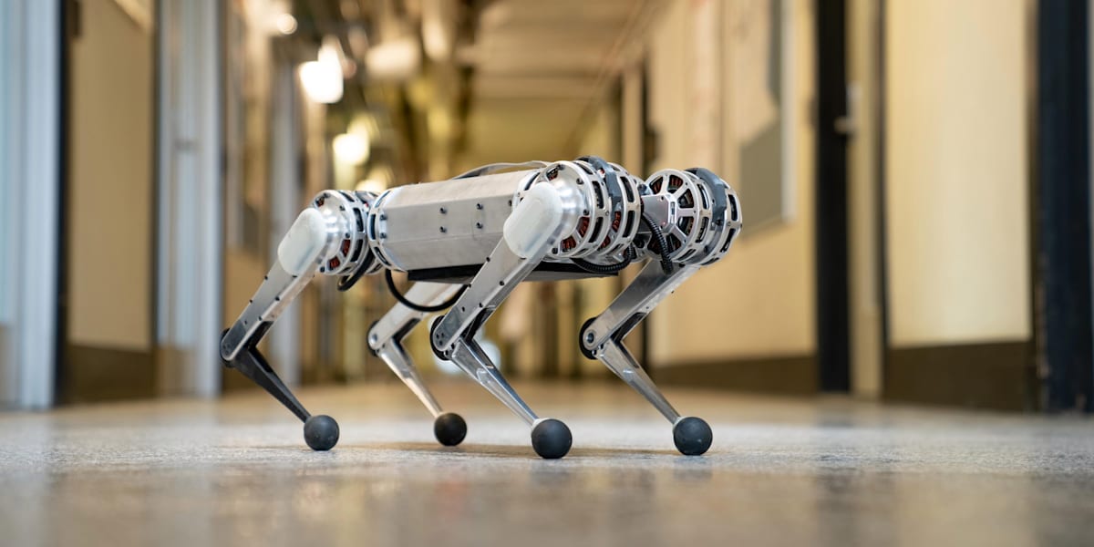 Innovative robots inspired by animals | Red Bull Tech