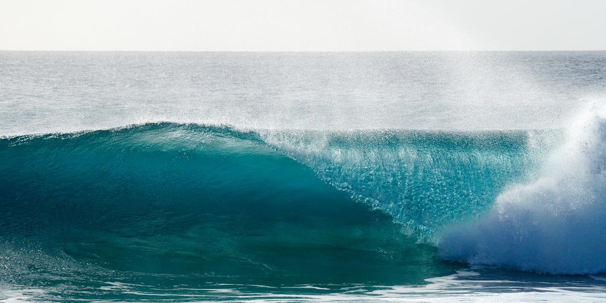 Friday the 17th | 1996 classic surf film, Taylor Steele