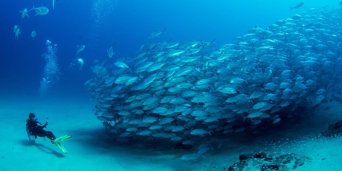 Cabo Pulmo, la gran reserva marina mexicana